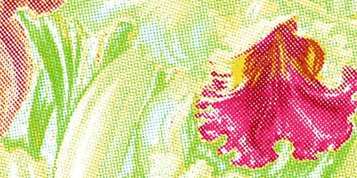 How To Effectively Separate Colors For Screen Printing