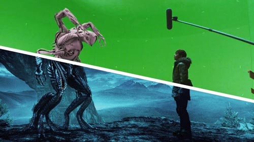 How To Use A Green Screen For Photos?